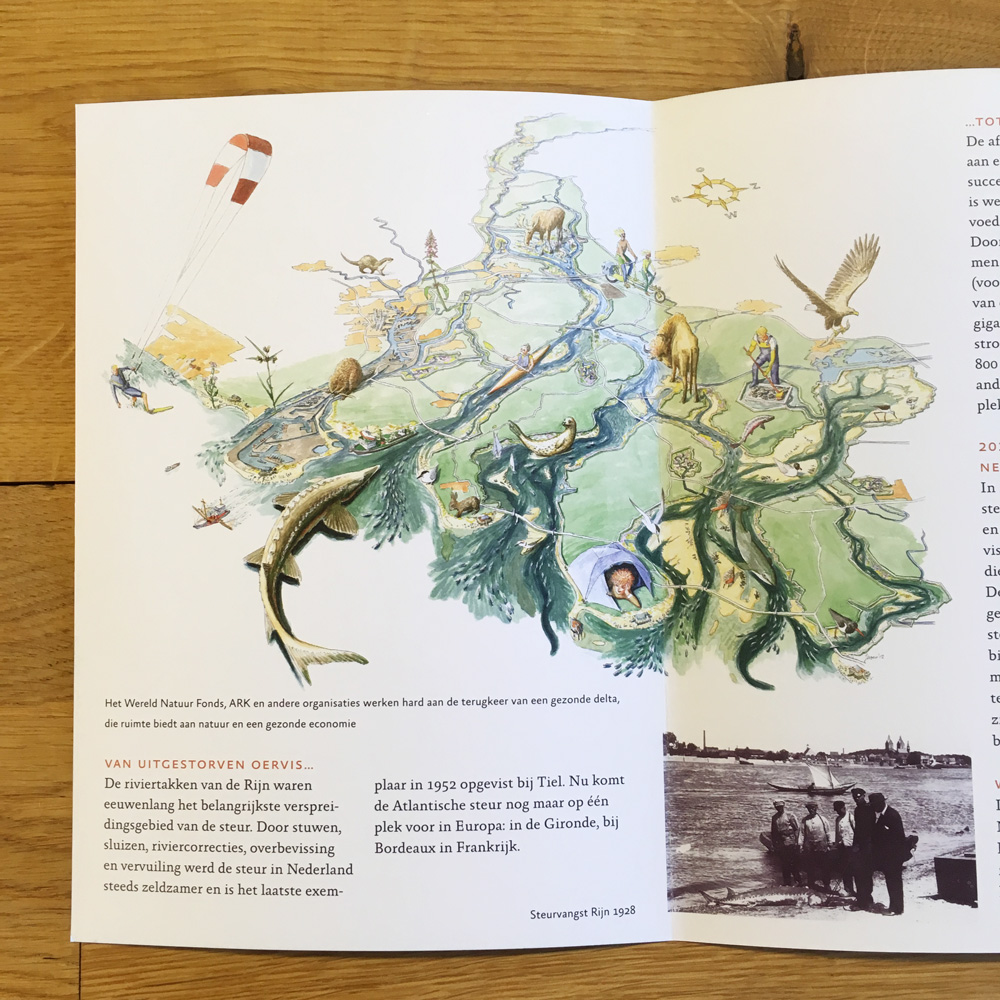 Grafisch Ontwerp Nijmegen - Bas Reijnen | De Atlantische Steur