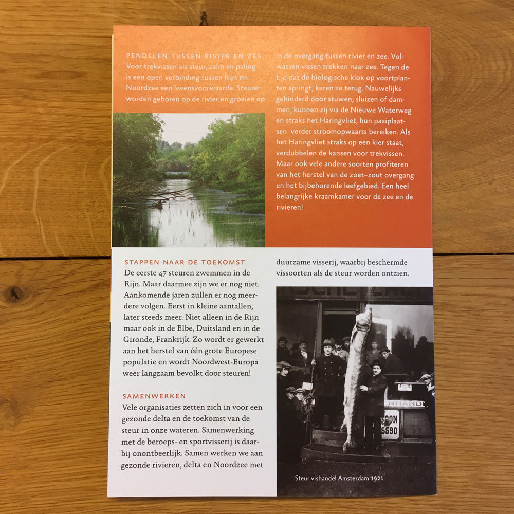 Grafisch Ontwerp Nijmegen - Bas Reijnen | De Atlantische Steur