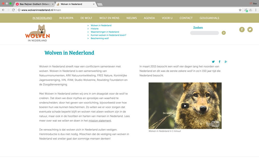 Grafisch Ontwerp Nijmegen - Bas Reijnen | Wolven in Nederland