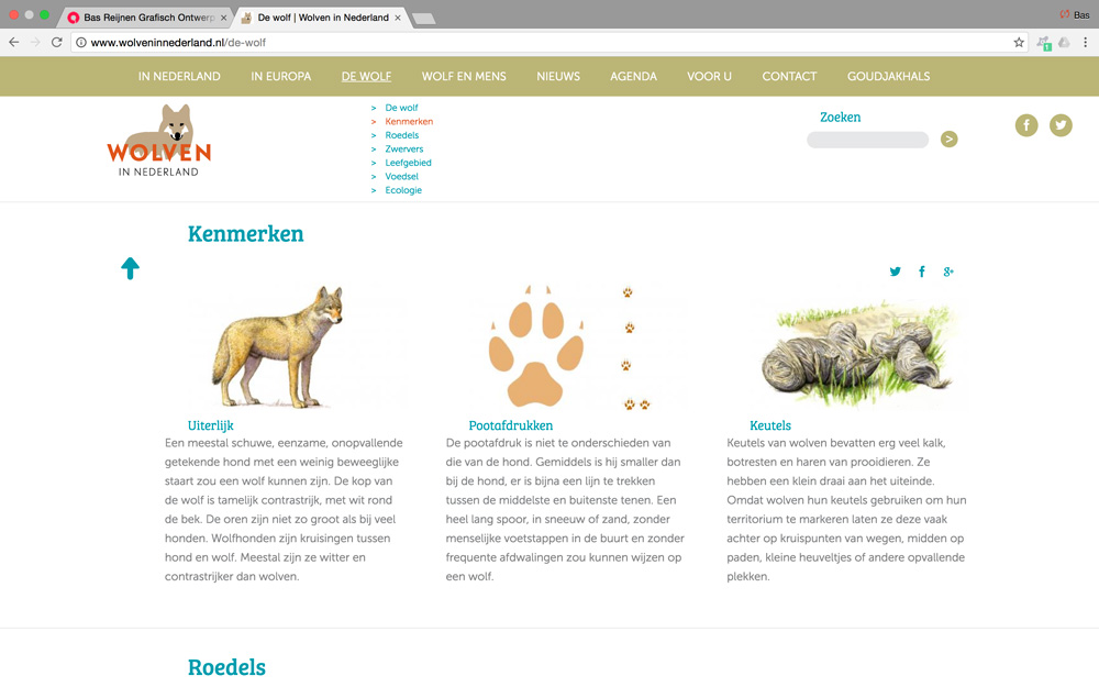 Grafisch Ontwerp Nijmegen - Bas Reijnen | Wolven in Nederland